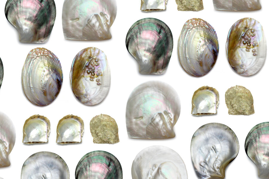 The Raw Pearls Blog - News and information from the team